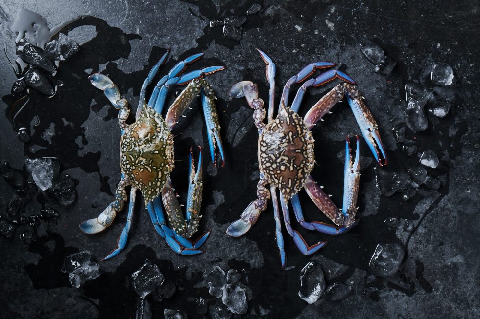 Blue Swimming Crab (Whole Cleaned) Raw - Blue Sea