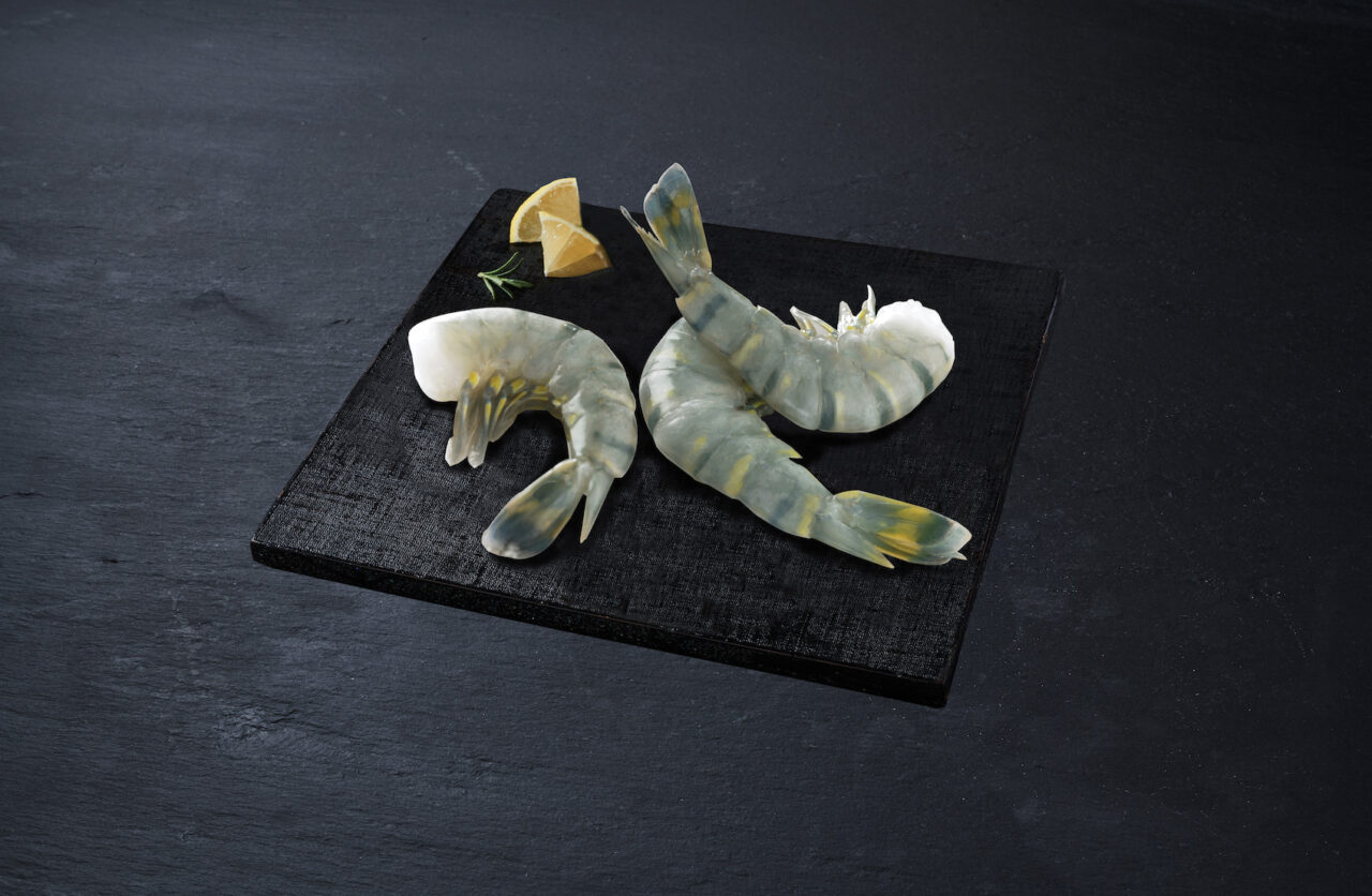 Raw Headless Shell On EZ Peel - Blue Sea