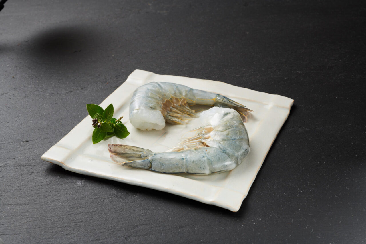 Raw Headless Shell On - Blue Sea