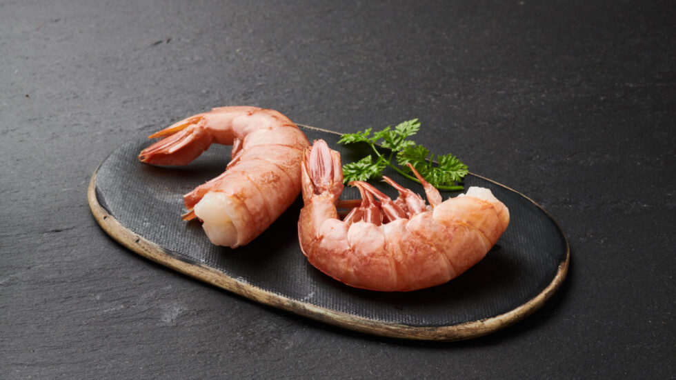 Wild American Florida Pink Shrimp - Blue Sea