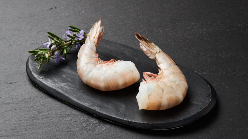 Wild American East Coast White Shrimp - Blue Sea